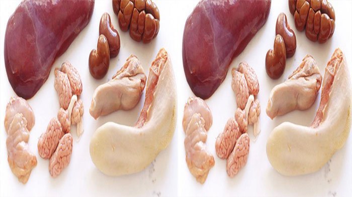 Manfaat Jeroan Sapi untuk Tubuh - KAN Jabung Syariah Jawa Timur