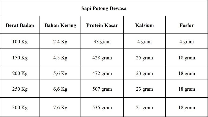 Cara Merawat Sapi agar Cepat Besar, Perhatikan 5 Hal ini! - KAN Jabung ...