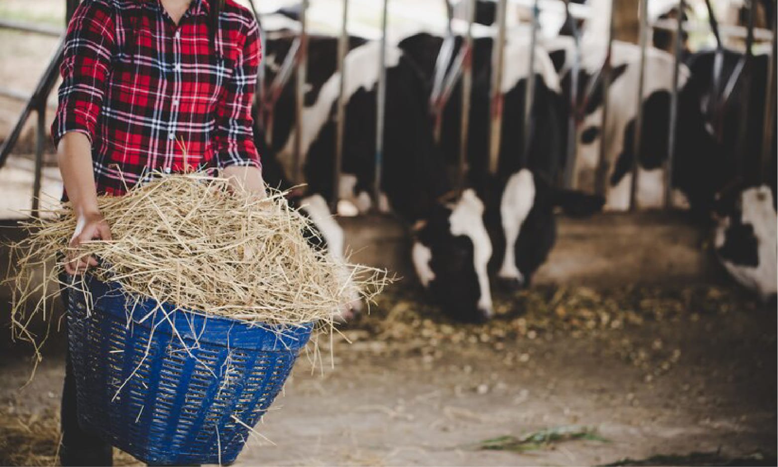 Peran Koperasi Produsen Dalam Meningkatkan Kesejahteraan Masyarakat ...