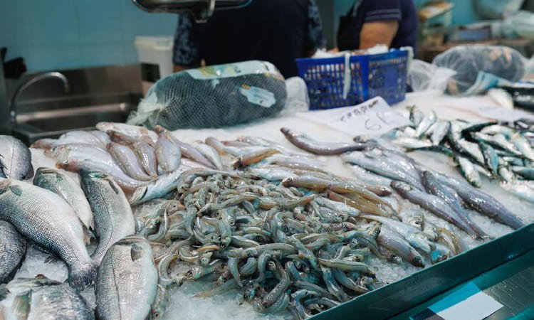 4 Contoh Koperasi Produsen yang Bisa dicoba - KAN Jabung Syariah Jawa Timur